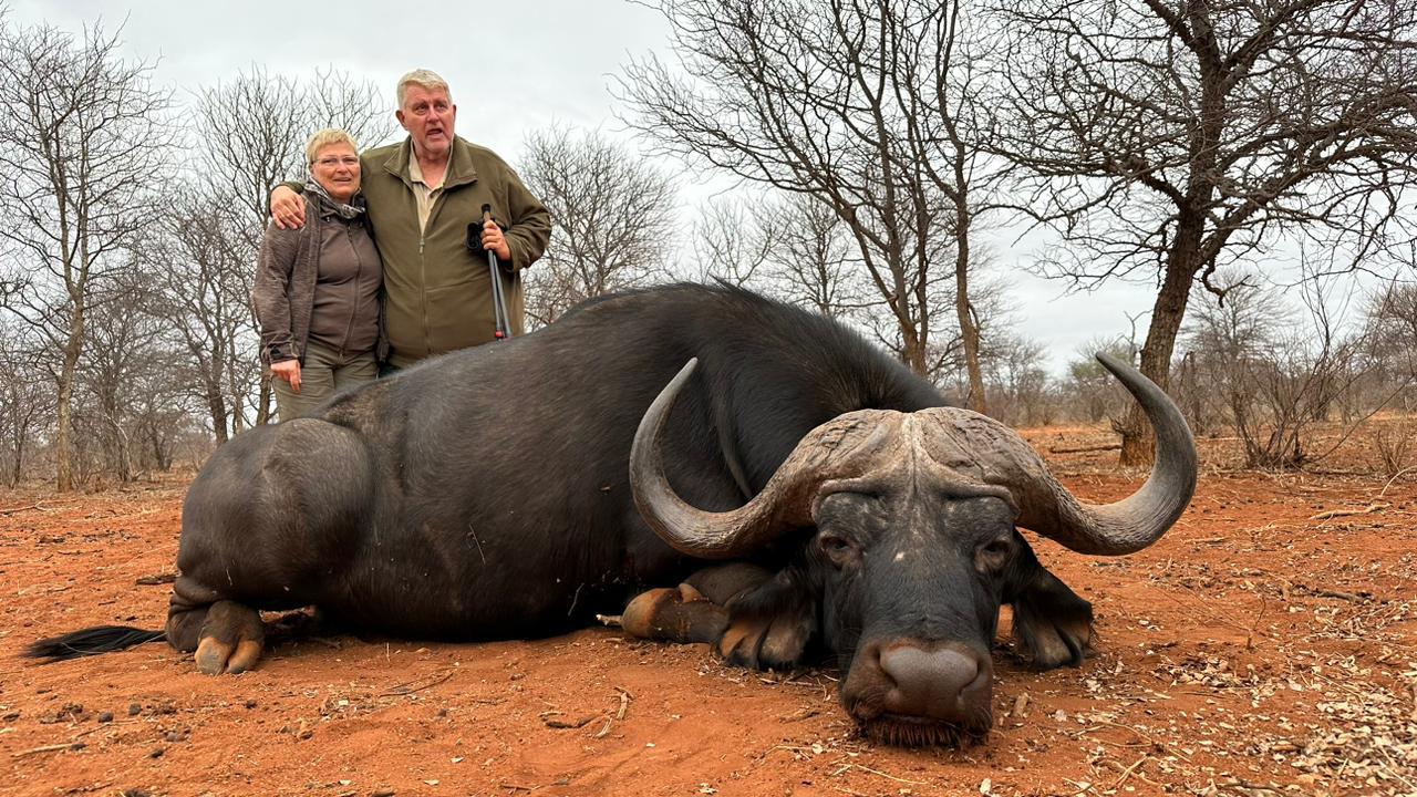 Gallery – South Africa – Sabudawn Safaris