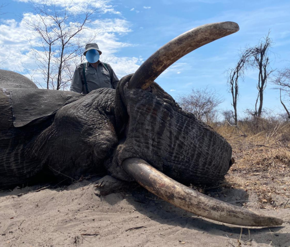 BOTSWANA HUNTING - Sabudawn Safaris