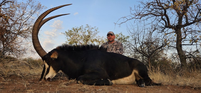 Gallery – South Africa – Sabudawn Safaris