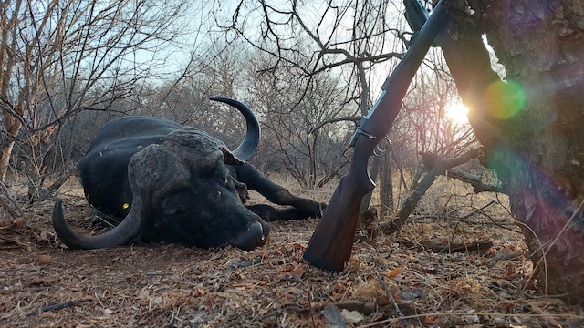 Gallery – South Africa – Sabudawn Safaris